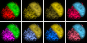 Which Colors Should I Use? The Importance of Color Combinations in ...